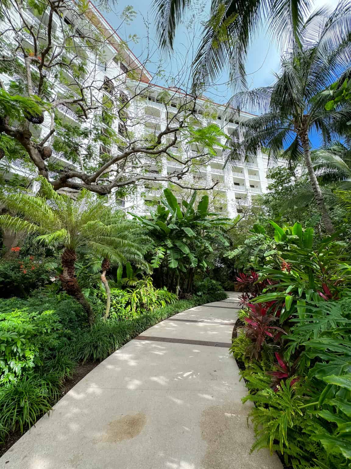 Rosewood Baha Mar Review | Bahamas Family Vacation - Katie's Bliss